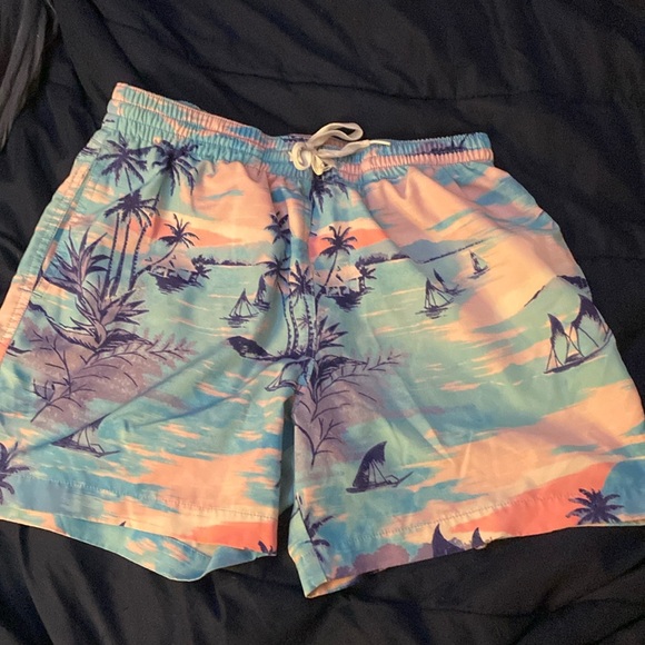 chubbies | Swim | Chubbies Swim Trunks | Poshmark